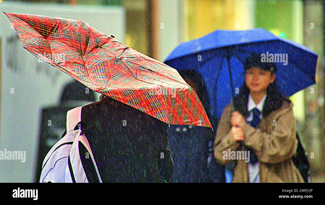 Glasgow, Scotland, UK. 31st January, 2024. UK Weather: Storm Ingunn ...