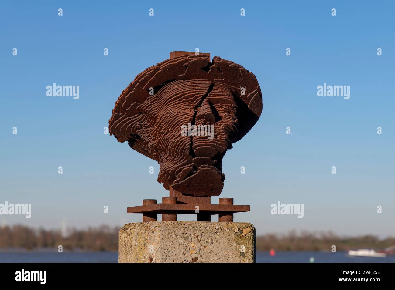 Heerwaarden, the Netherlands-January 9, 2024; Close up of the corton ...
