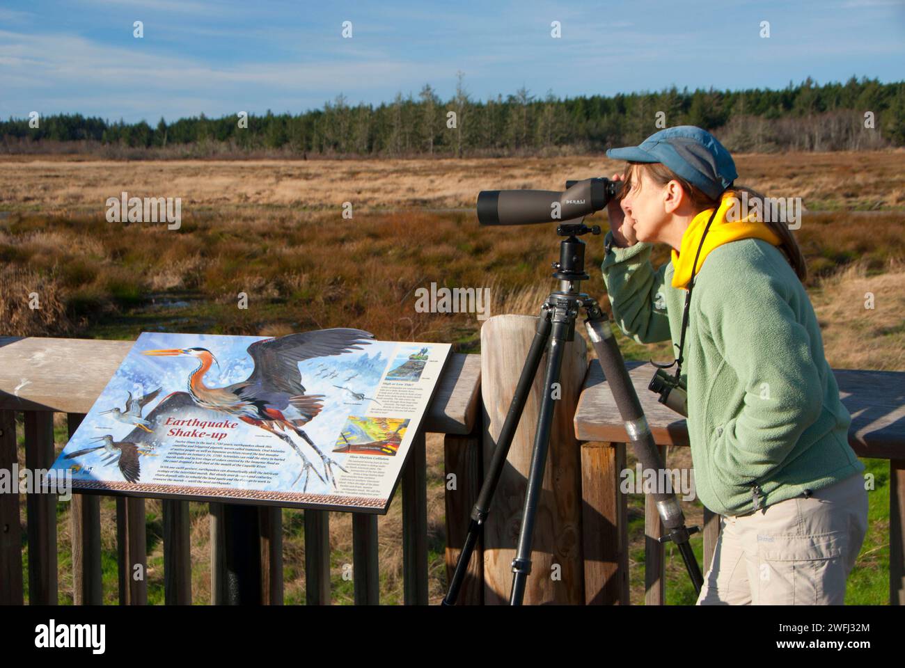 Birding from observation deck, Bandon Marsh National Wildlife Refuge ...
