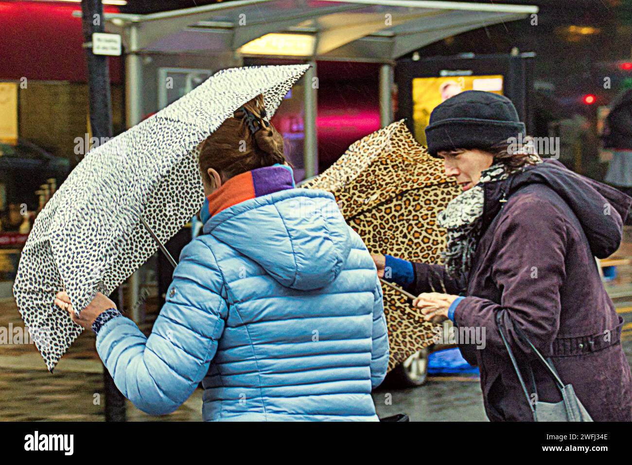 Glasgow, Scotland, UK. 31st January, 2024. UK Weather: Storm Ingunn ...