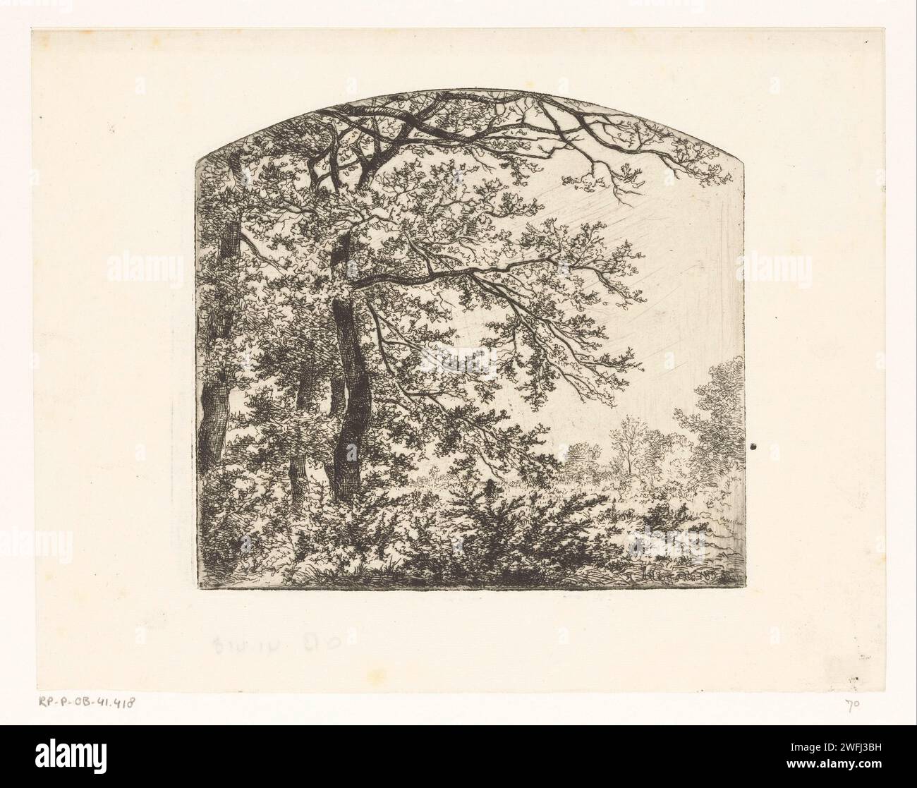 Forest face near La Feuillée, Hector Allemand, 1853 print France paper ...
