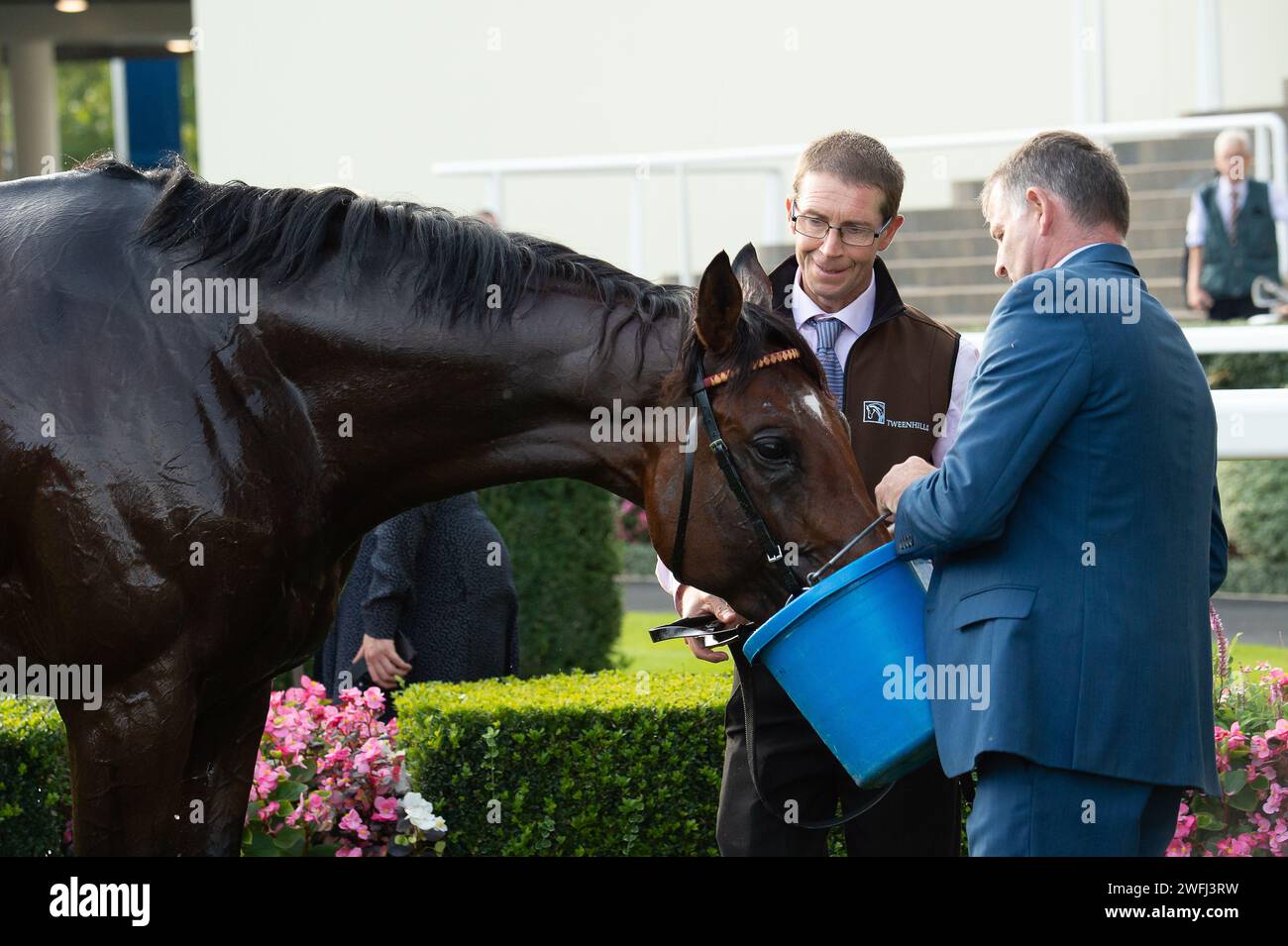 Breeder the roheryn partnership hi-res stock photography and images - Alamy
