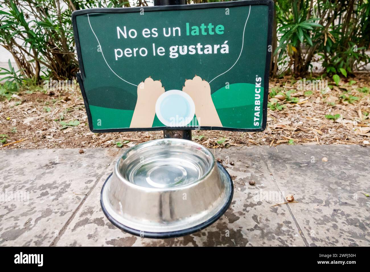 Starbucks humour hi-res stock photography and images - Alamy