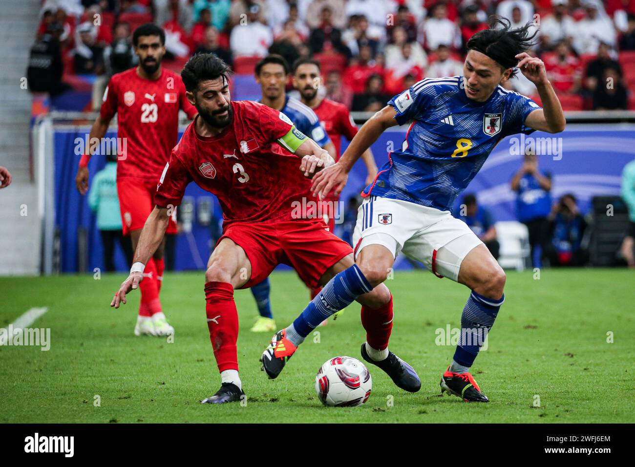 Doha, Qatar, 31 Jan 2024, AFC Asian Cup 2023 Round of 16 : Bahrain vs ...