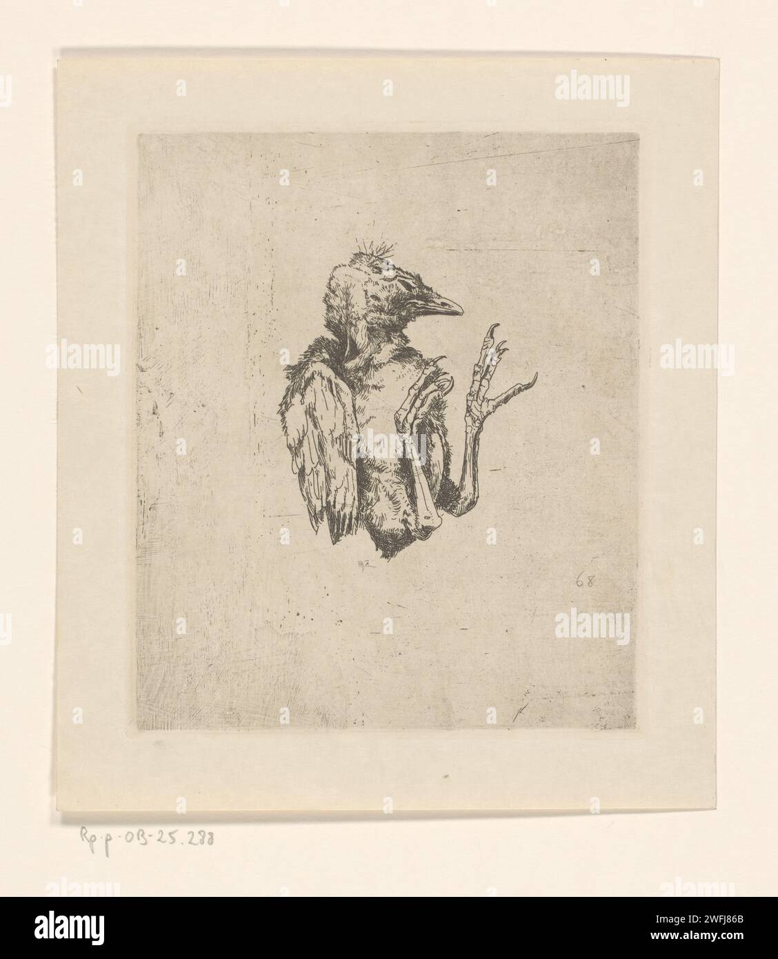 Young Dead Bird, Philip Zilcken, 1867 - 1888 print paper etching birds ...