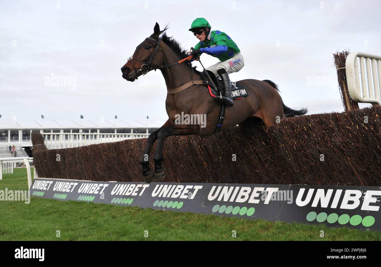 Ginny's destiny horse hi-res stock photography and images - Alamy