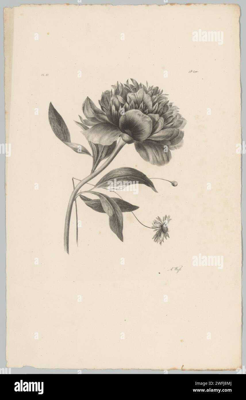 5th lev hi-res stock photography and images - Alamy