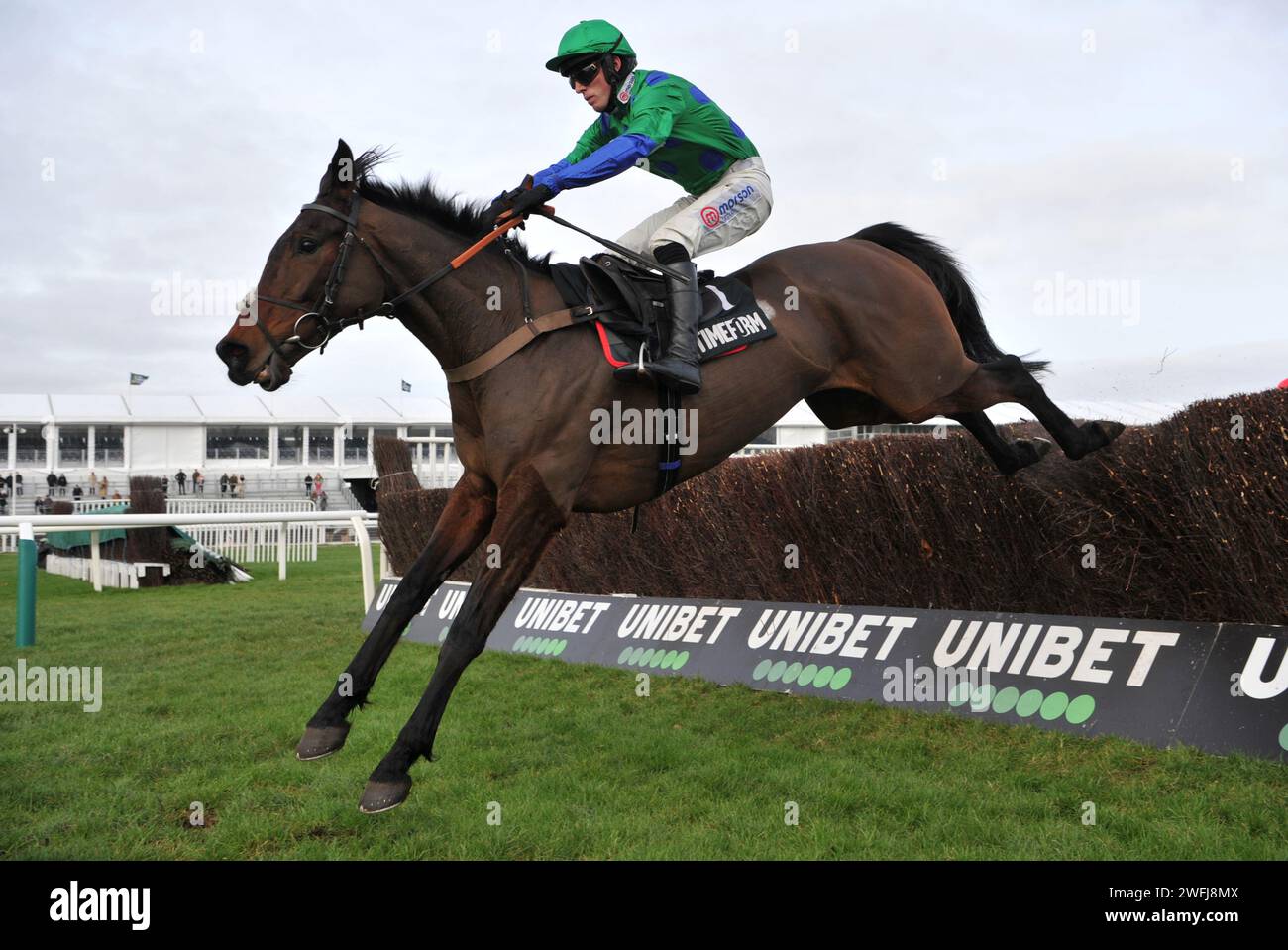 Ginnys destiny horse racing hi-res stock photography and images - Alamy