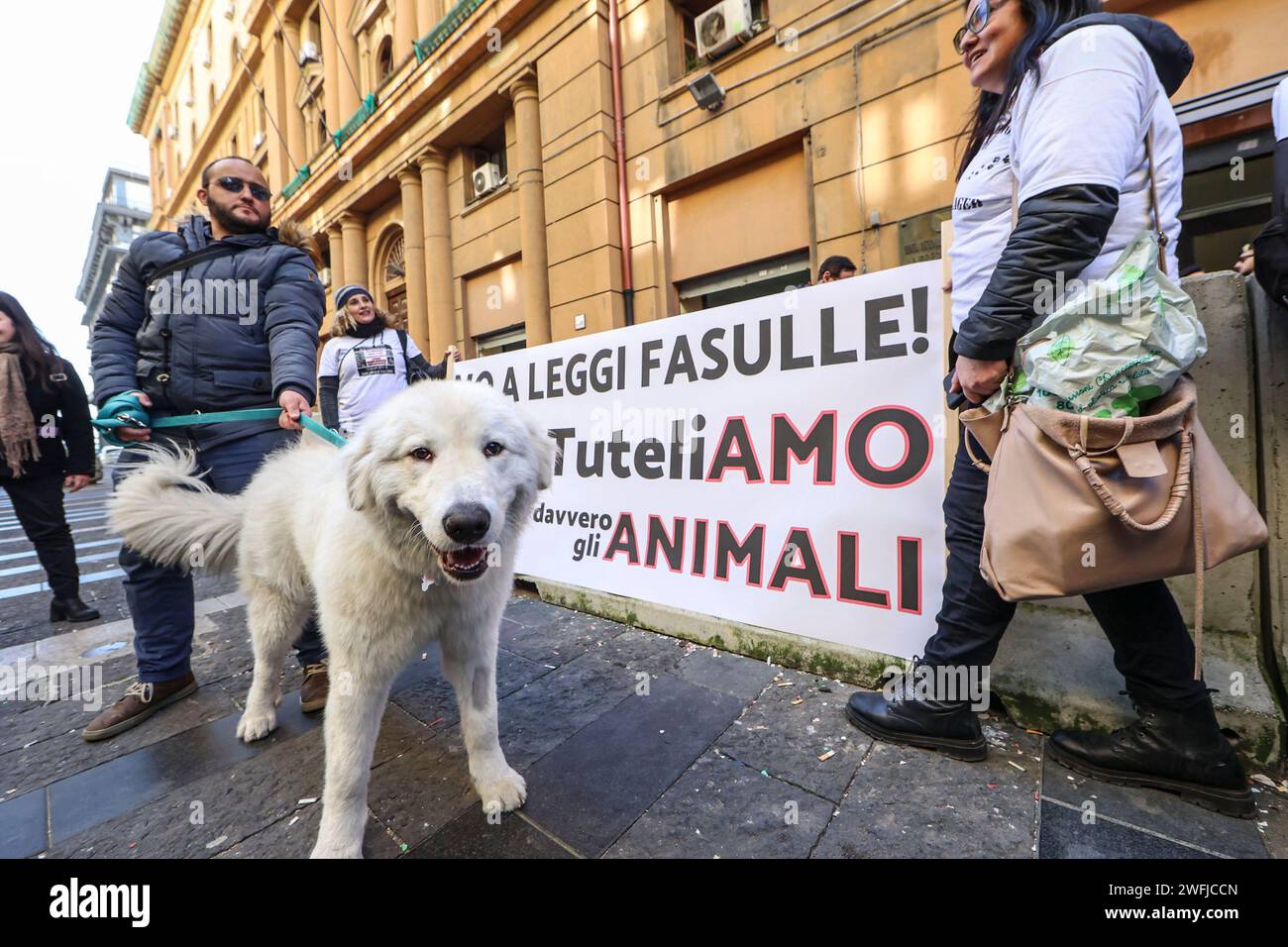 A moment of the demonstration of volunteers and animal rights ...