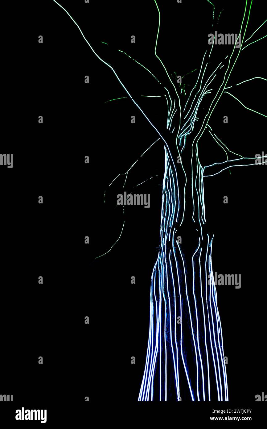 Illuminated tree trunk hi-res stock photography and images - Alamy