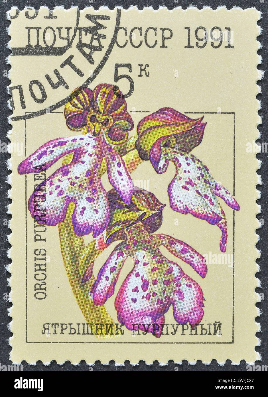 Cancelled postage stamp printed by Soviet Union, that shows Lady Orchid ...