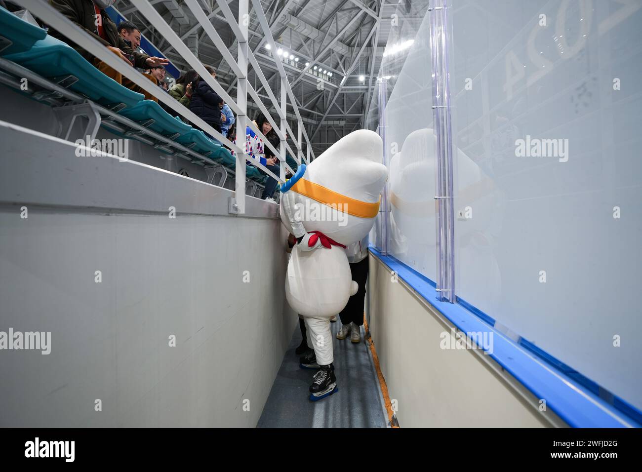 Gangneung, South Korea. 31st Jan, 2024. Mascot Moongcho waves to ...