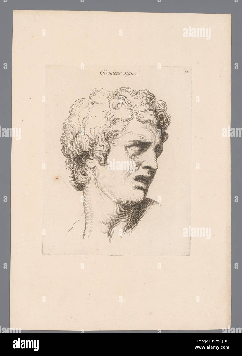 Facial morphology hi-res stock photography and images - Alamy