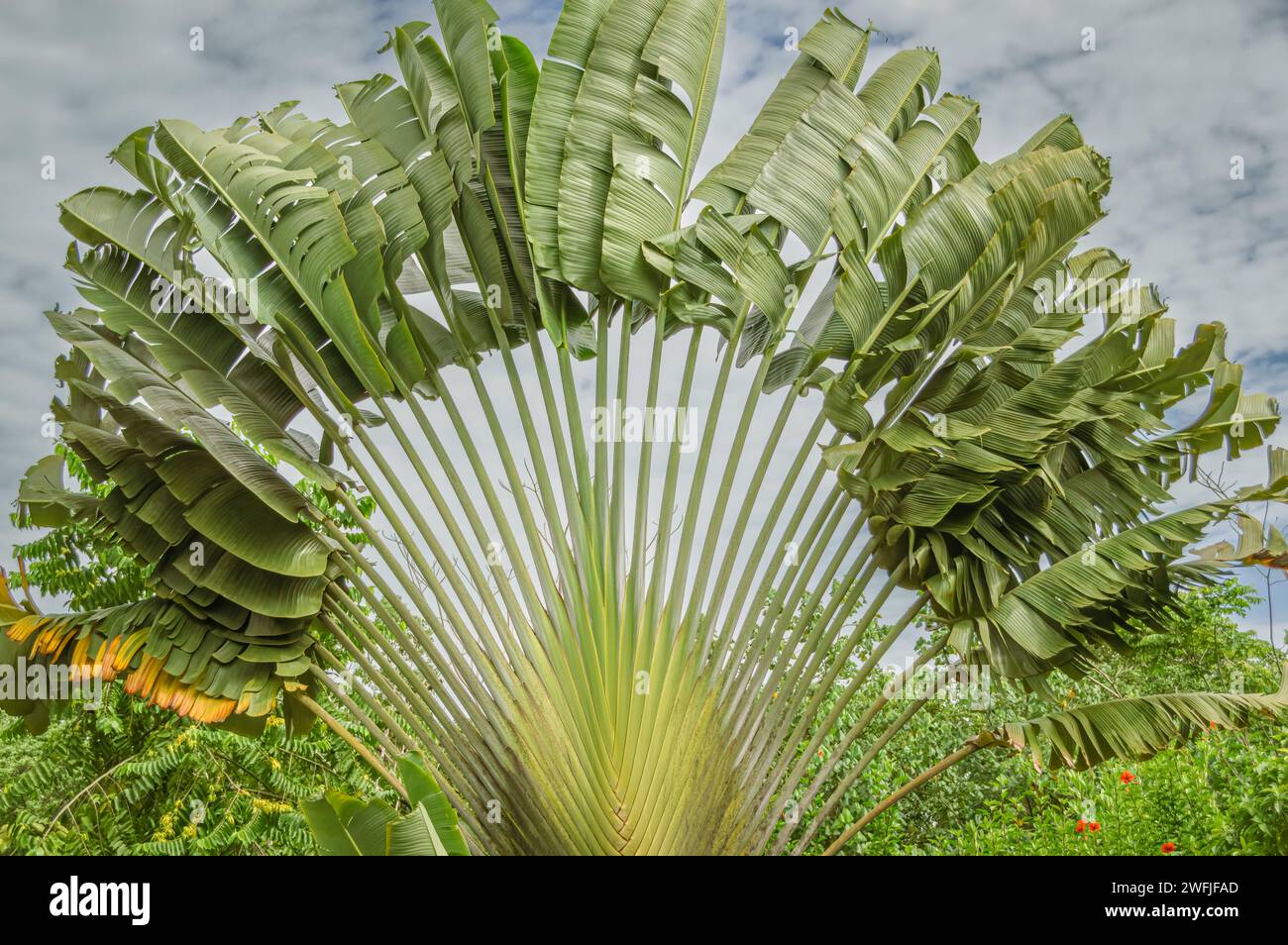 Panamá 2014 hi-res stock photography and images - Alamy