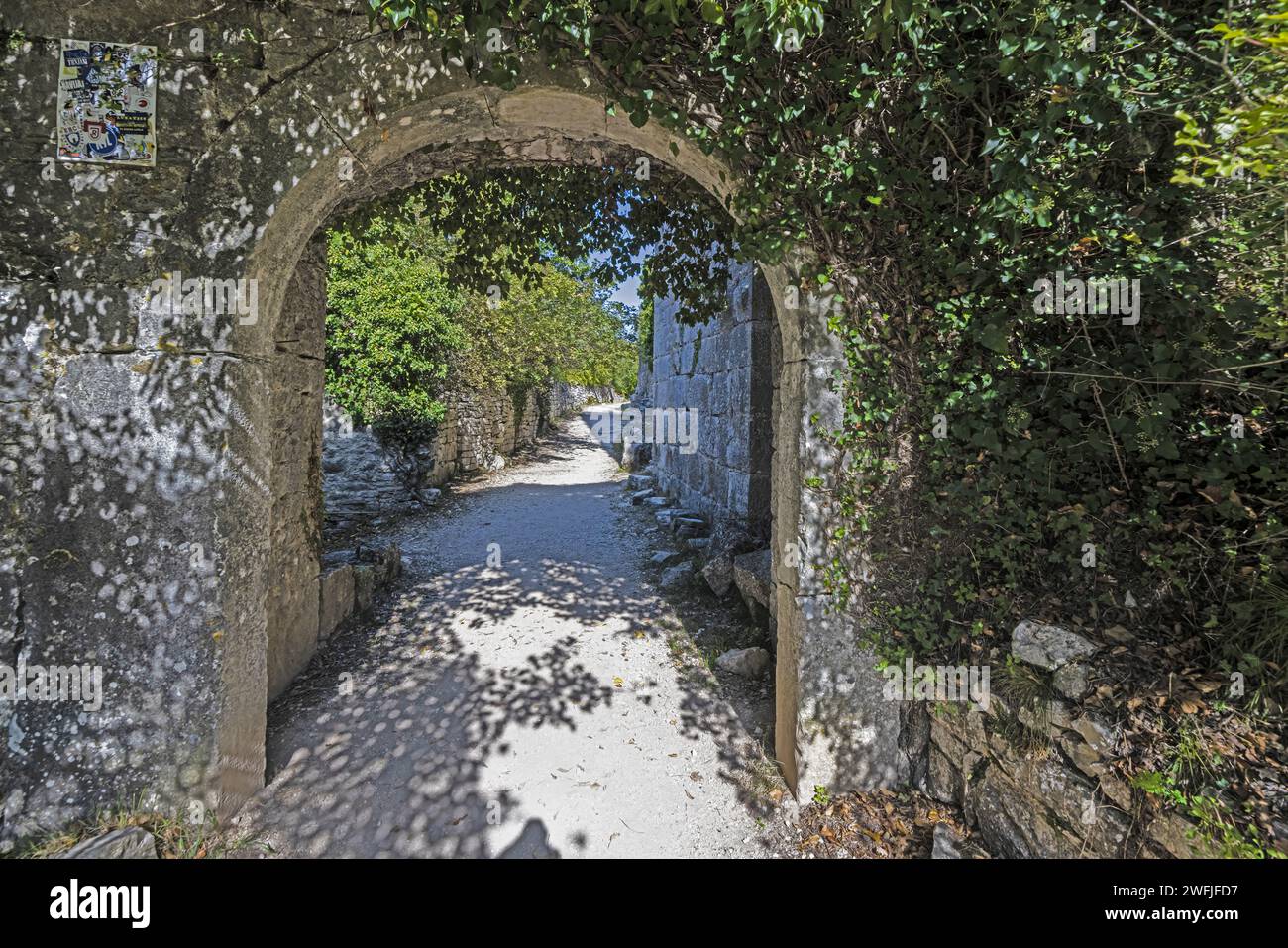 View through a curved overgrown gate onto an unpaved path in a medieval ...