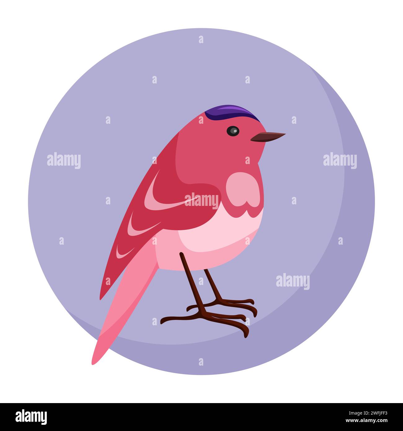 Design element with a bird on a circle background Stock Vector Image ...