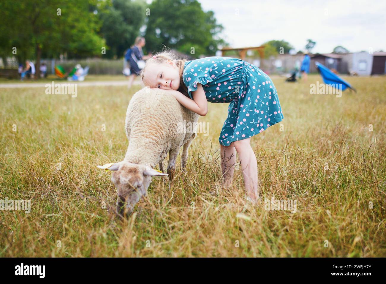 Adorable little girl playing with sheep at farm. Child familiarizing ...