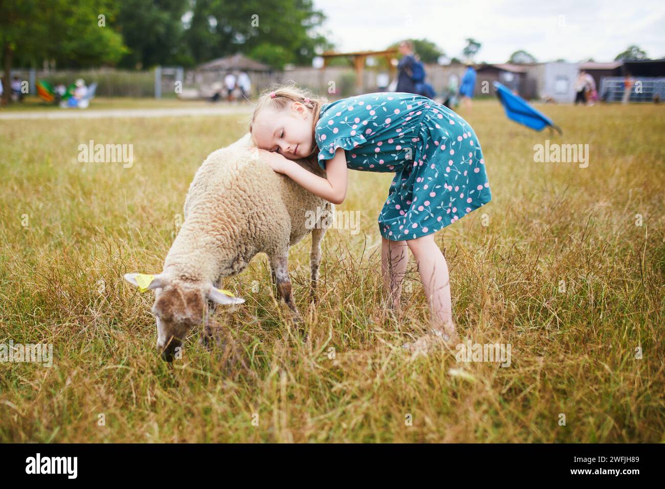 Adorable little girl playing with sheep at farm. Child familiarizing ...