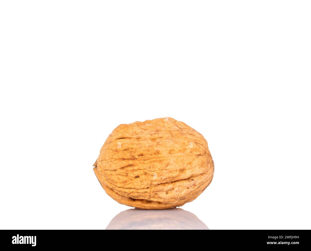 One walnut, macro, isolated on white background Stock Photo - Alamy