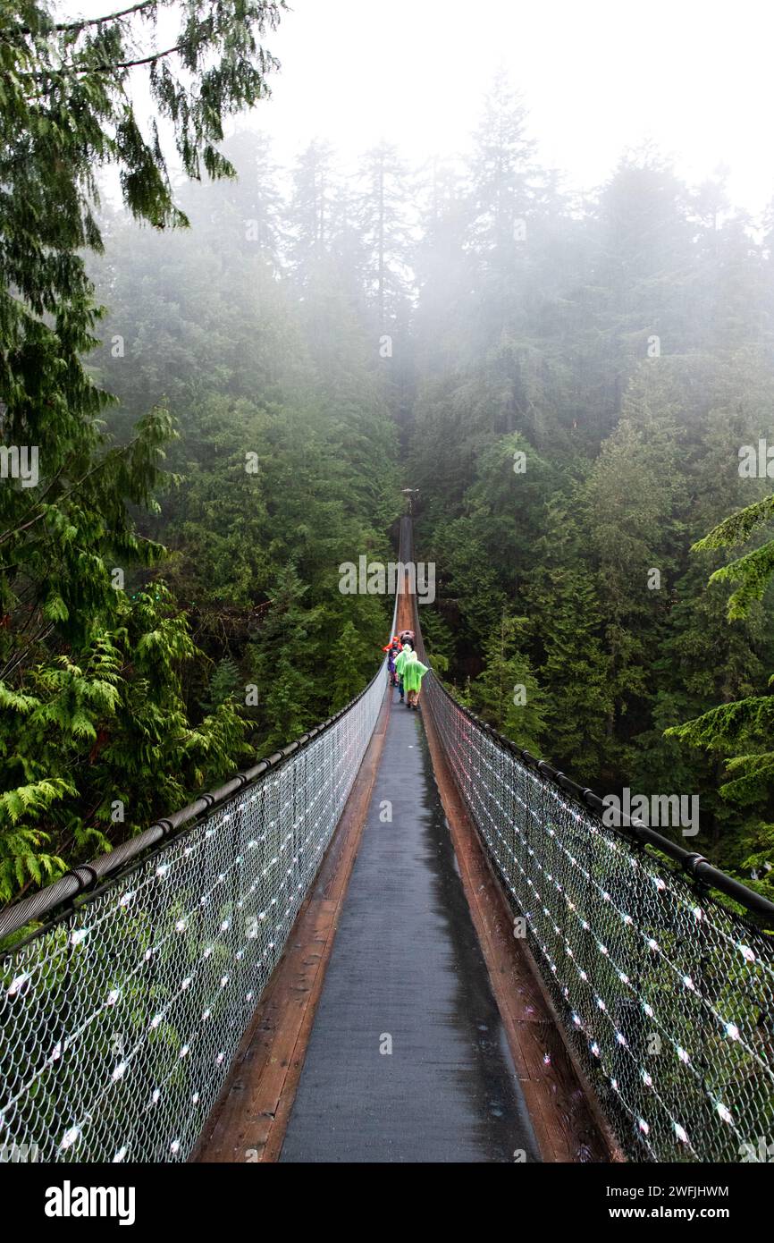 A People walking towards a rainforest on a wet suspension bridge ...