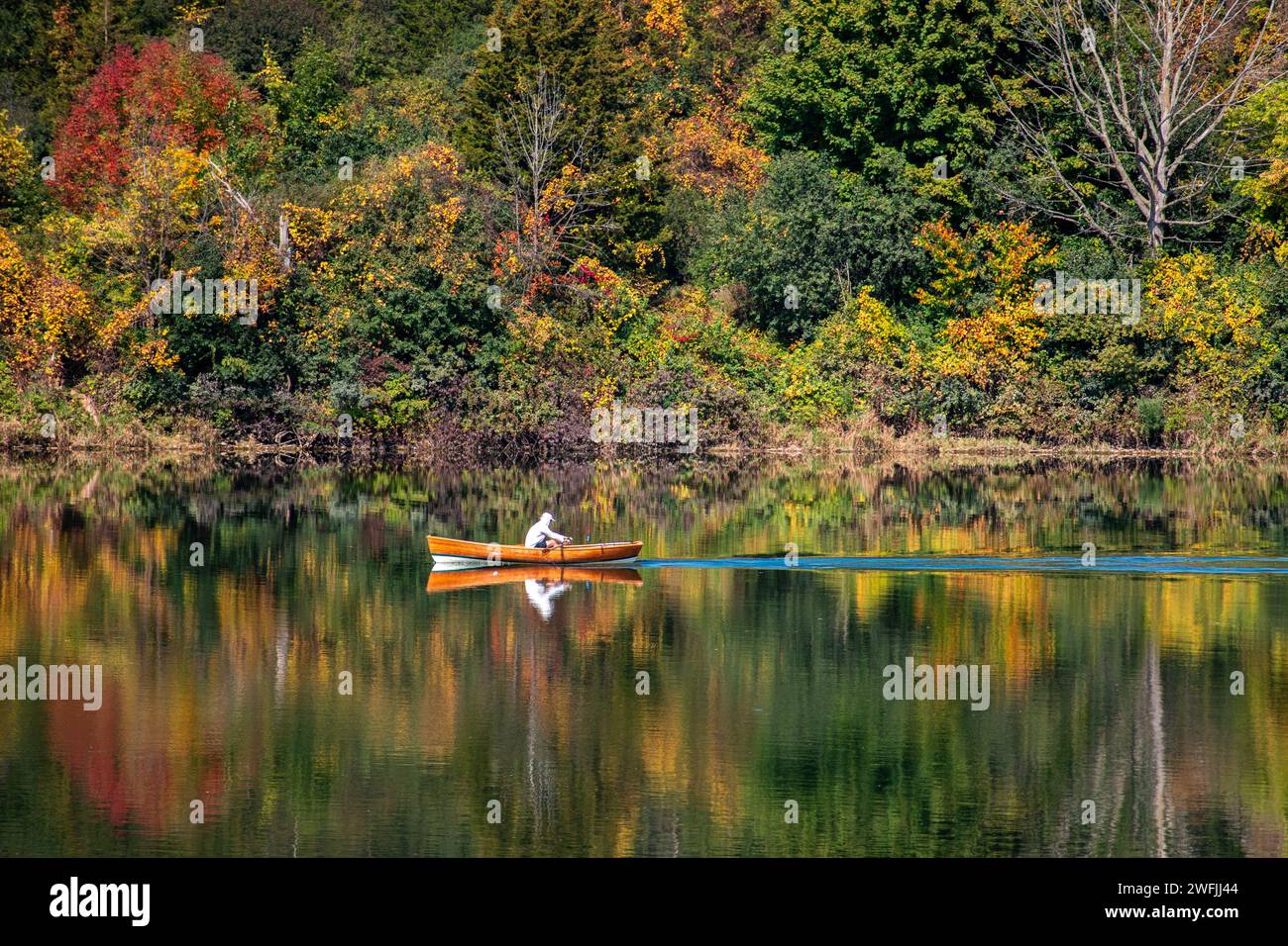 A person rowing a boat in a calm lake during autumn - Fanshawe Lake ...