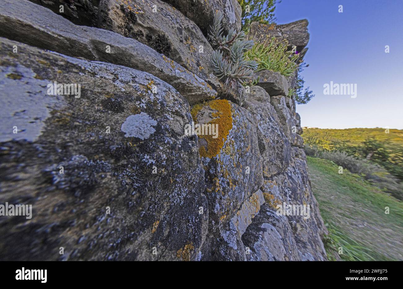 Close-up of a moss overgrown natural stone wall with sharpness in the ...
