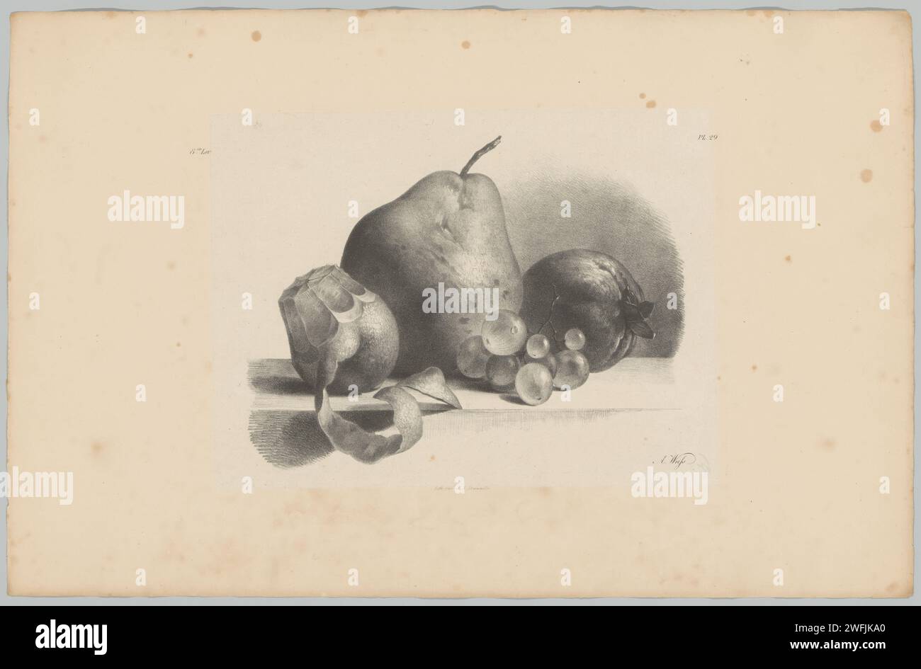 Pear, peach, grapes and peeled lemon, Anton Weiss, 1820 - 1833 print Up ...
