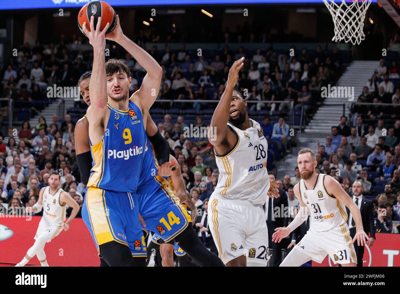 Sorkin roman maccabi playtika tel aviv hi-res stock photography and ...