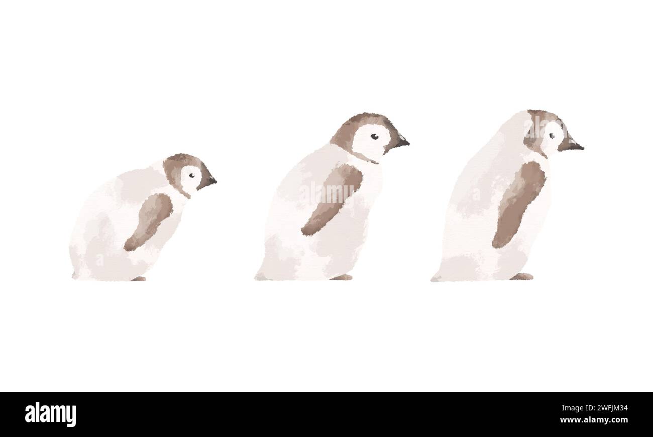 Group of penguins watercolor illustration. Cute animals clip art Stock ...