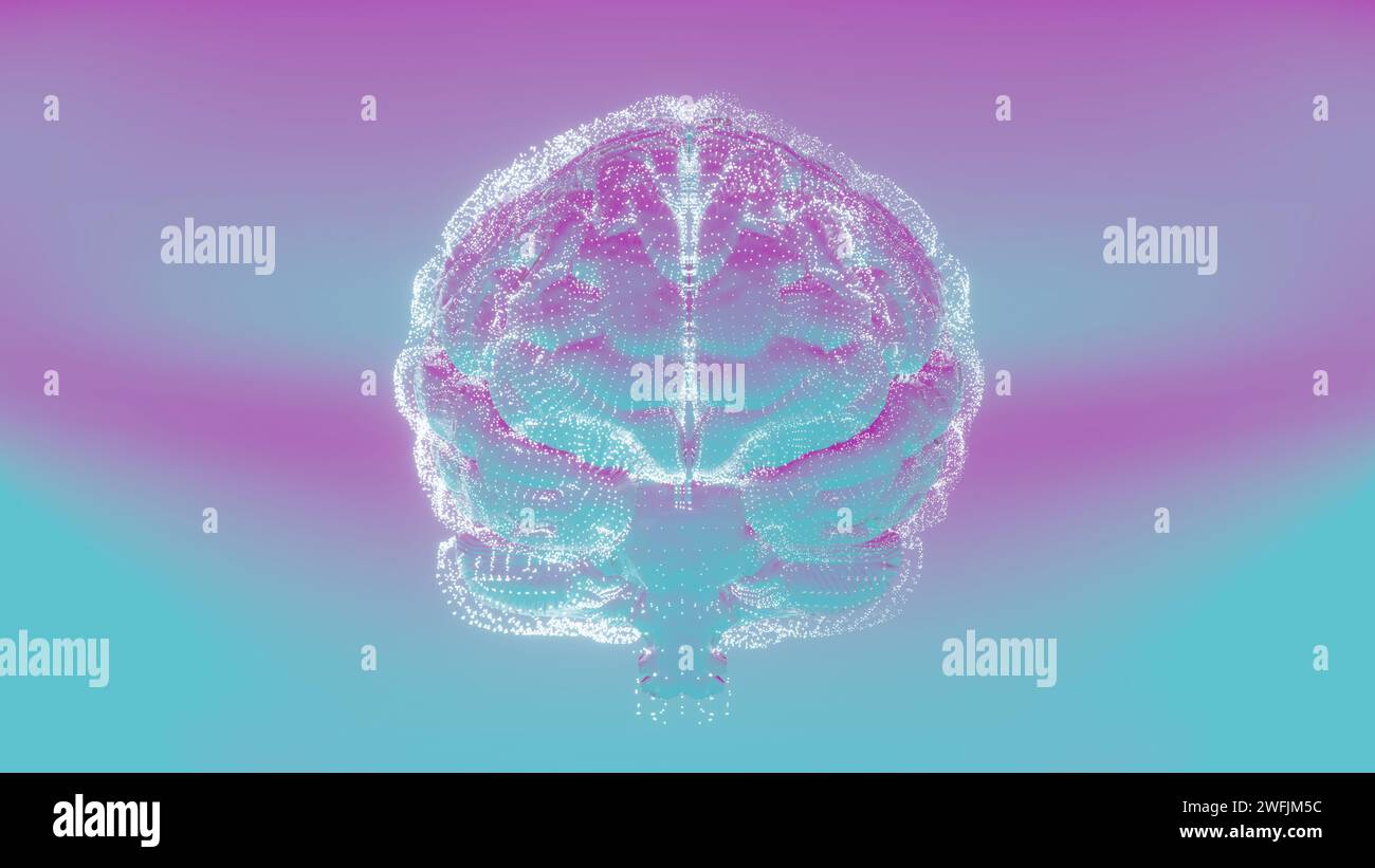 Digital visualization of a human brain hi-res stock photography and ...