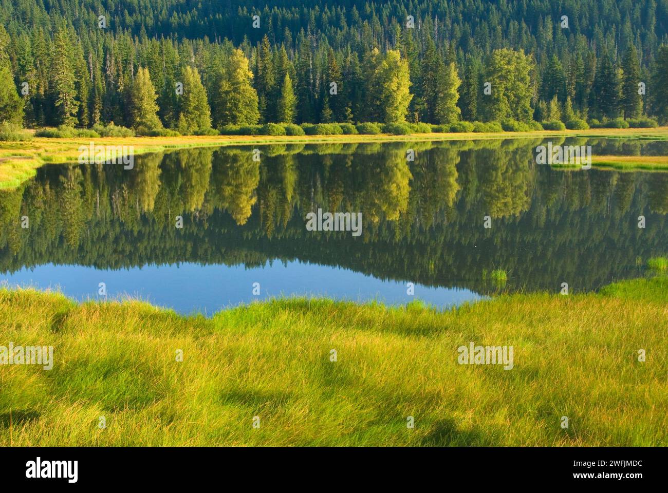 Lost Lake, McKenzie Pass-Santiam Pass National Scenic Byway, Willamette ...