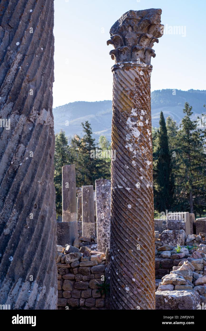 Close-up of Roman columns in the ancient Roman town of Djemila. UNESCO ...