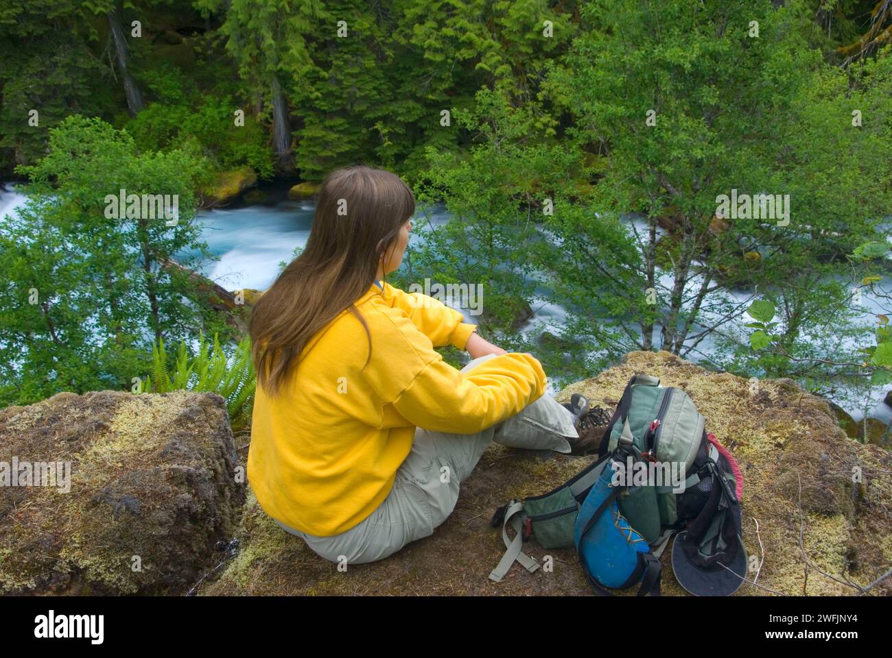 McKenzie Wild and Scenic River view from McKenzie River National ...