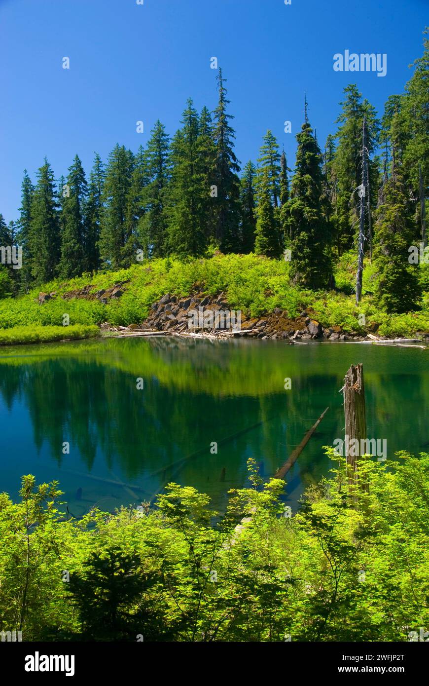 Riggs Lake, Willamette National Forest, Oregon Stock Photo - Alamy