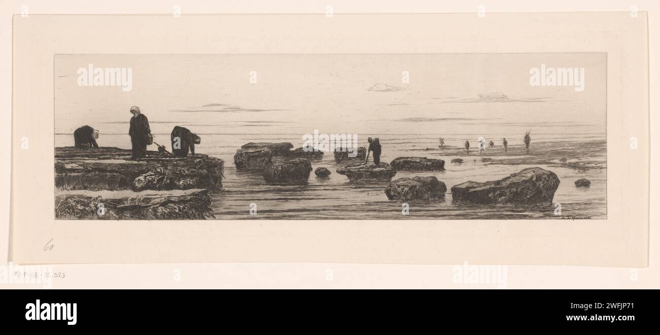 Seaweed pickers hi-res stock photography and images - Alamy