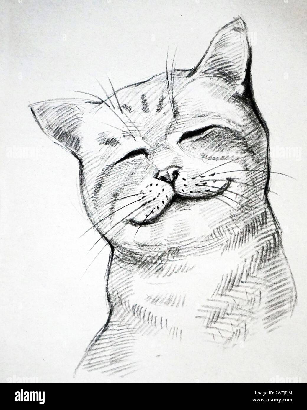 Hand drawn art drawing sketch Smiling cat Stock Photo - Alamy