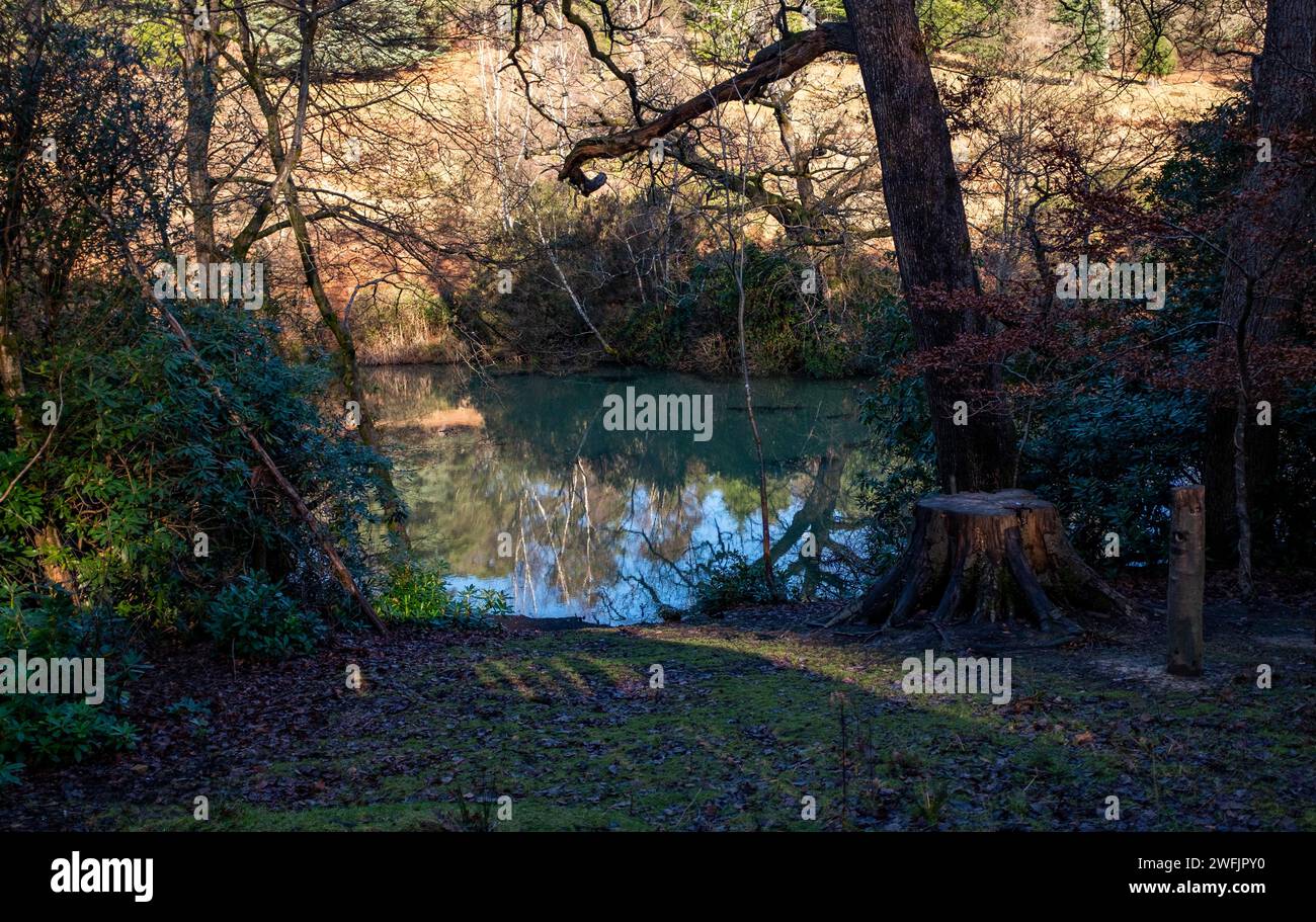 View from the bird hide at Leonardslee Gardens and sculpture park at ...