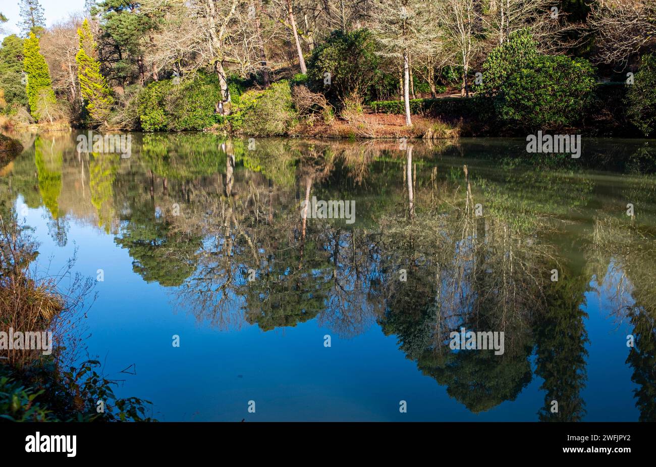 Reflections at Leonardslee Gardens and sculpture park at Lower Beeding ...