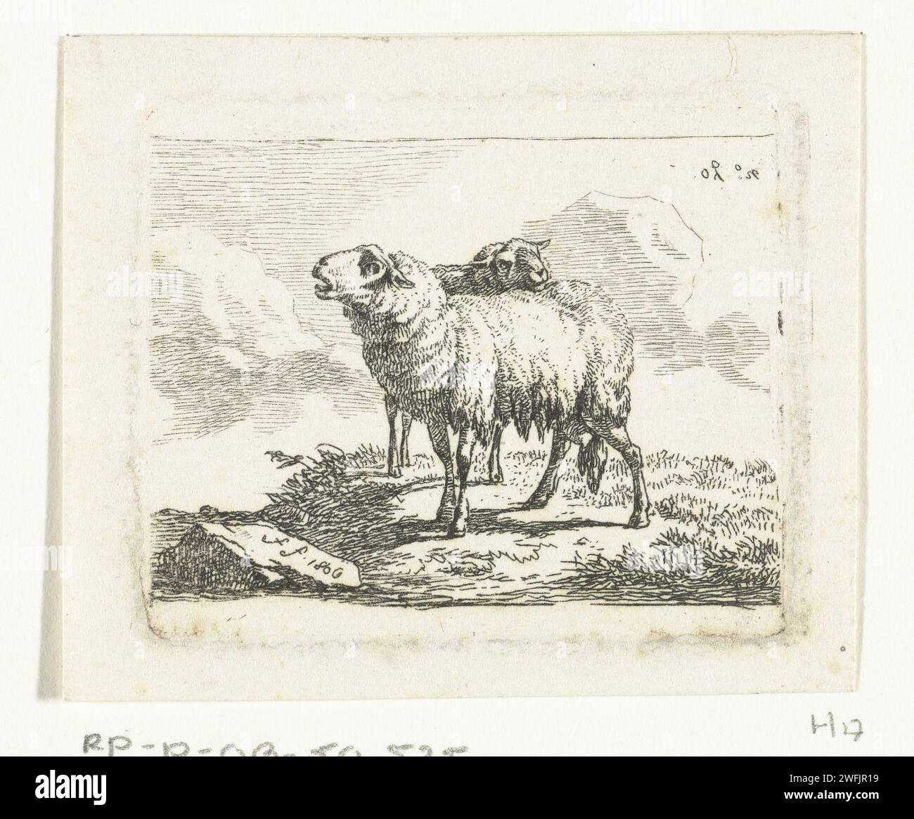 Two standing sheep, Frédéric Théodore Faber, 1806 print Brussels paper ...