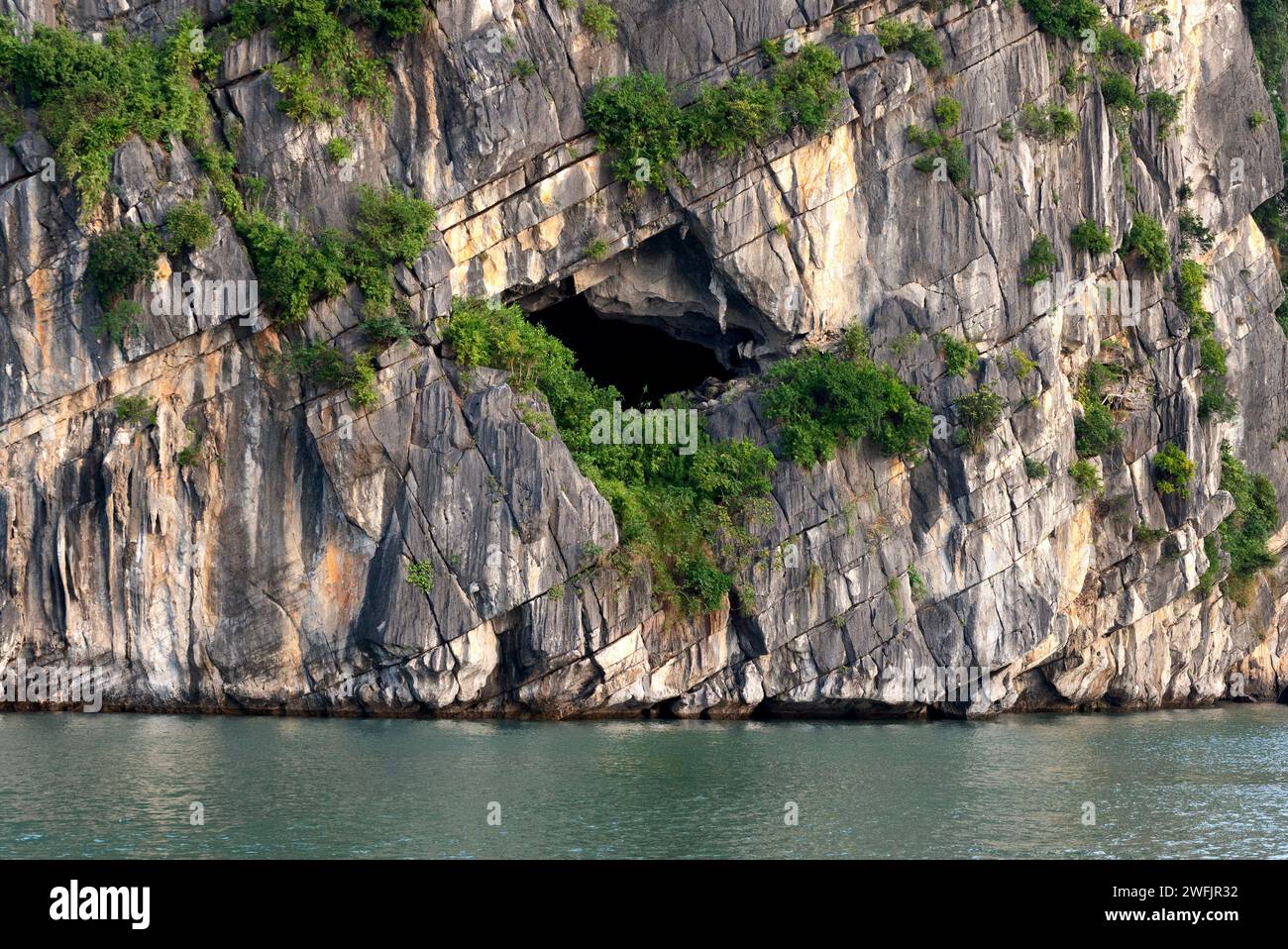 Lozenge shape hi-res stock photography and images - Alamy