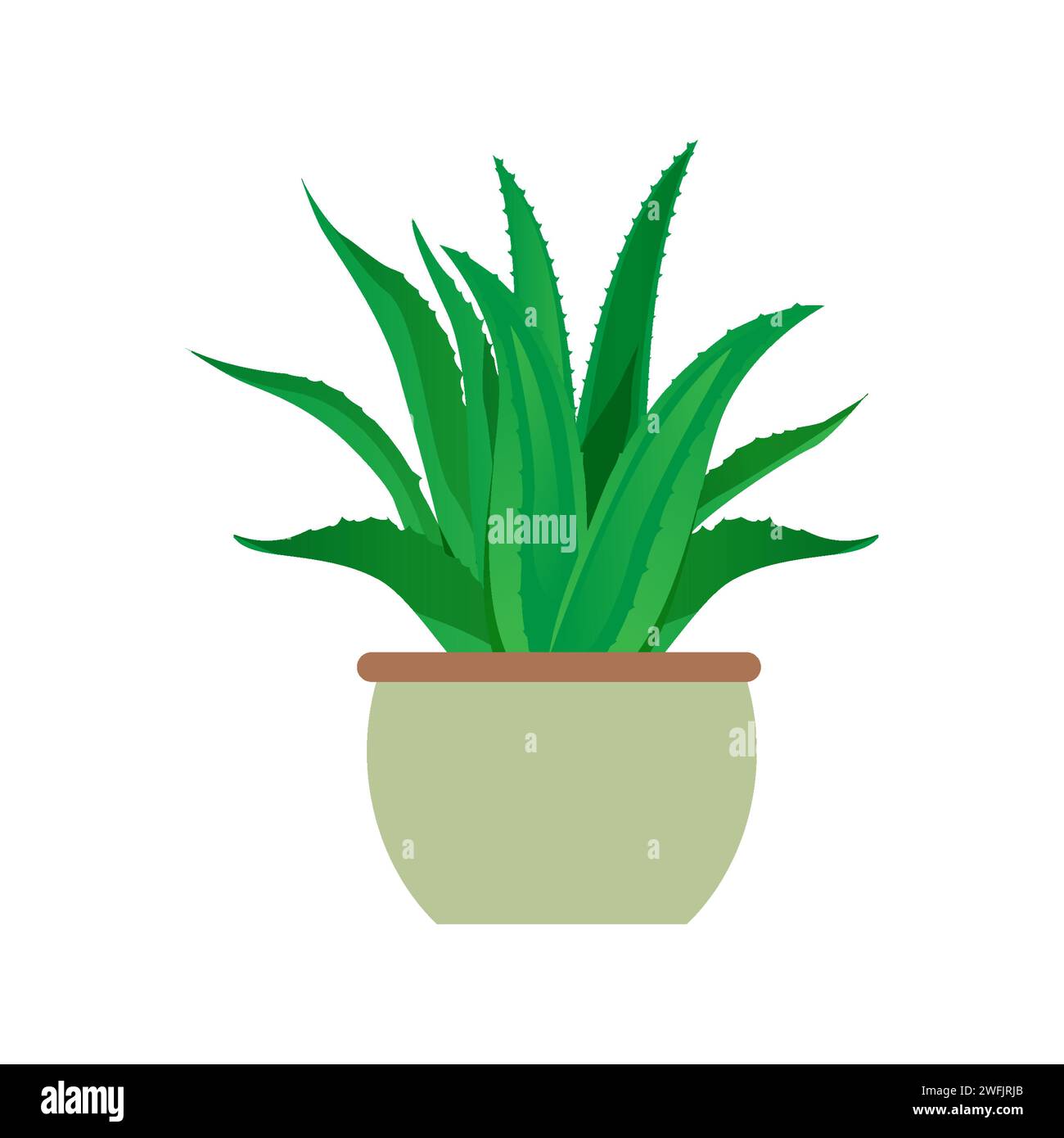 Aloe Vera Houseplant Icon Vector Illustration Stock Vector Image & Art ...