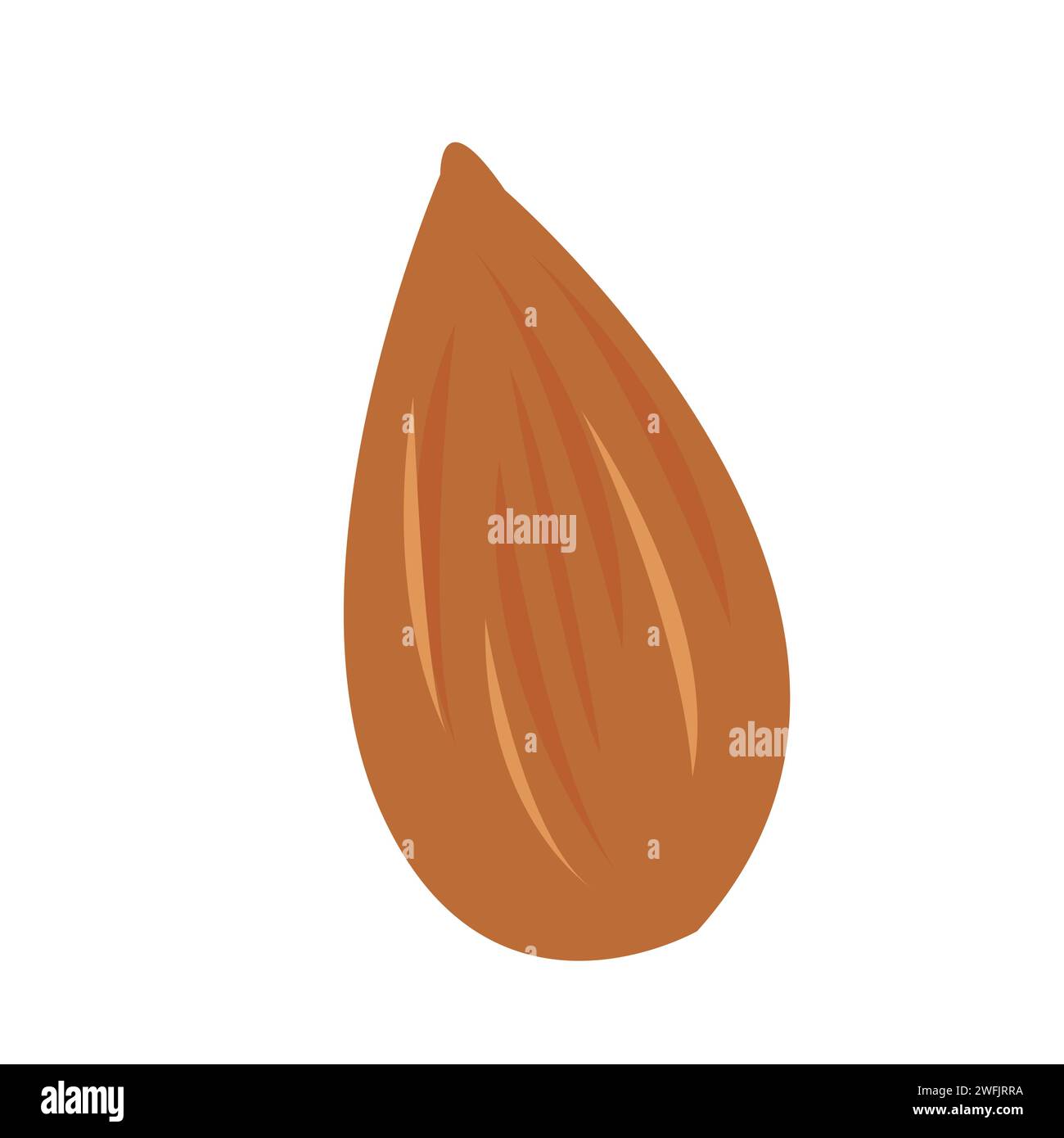 Almond Icon Vector Illustration Stock Vector Image & Art - Alamy
