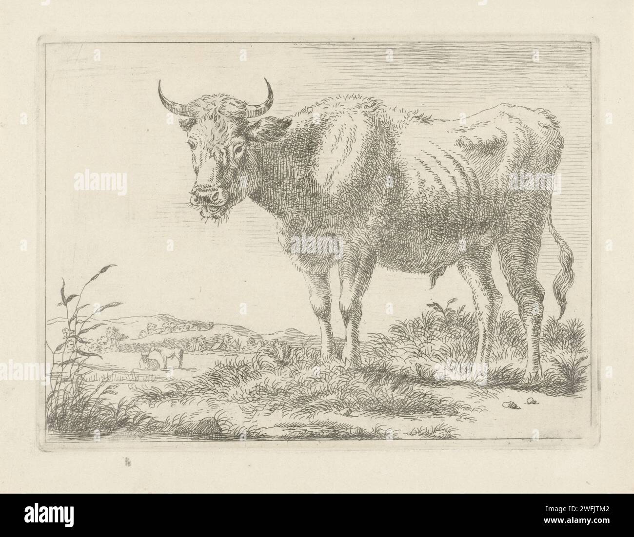 Standing Taurus, Anonymous, After Pieter Gerardus van Os, 1798 - 1848 ...