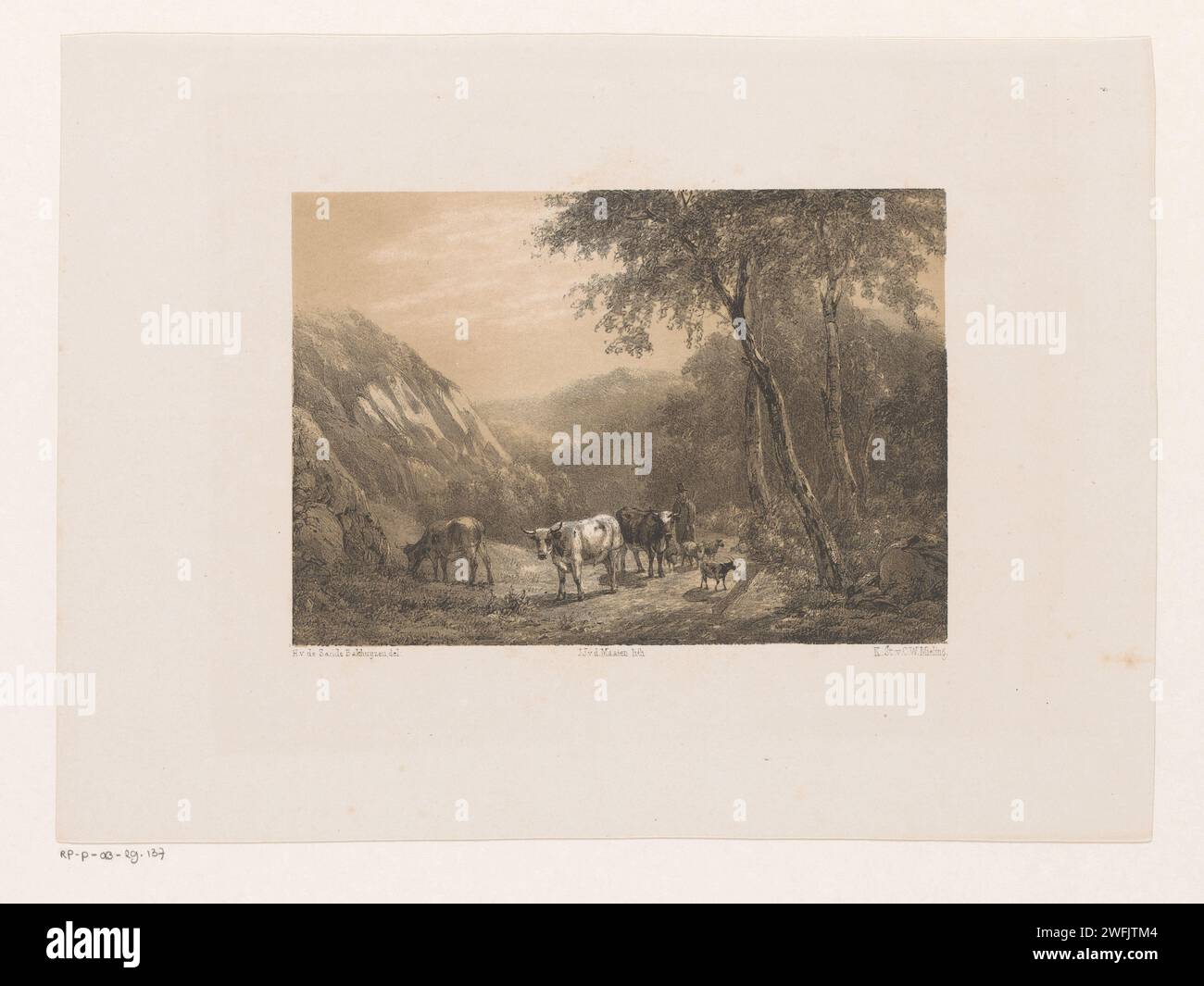 Jan van de sande hi-res stock photography and images - Alamy