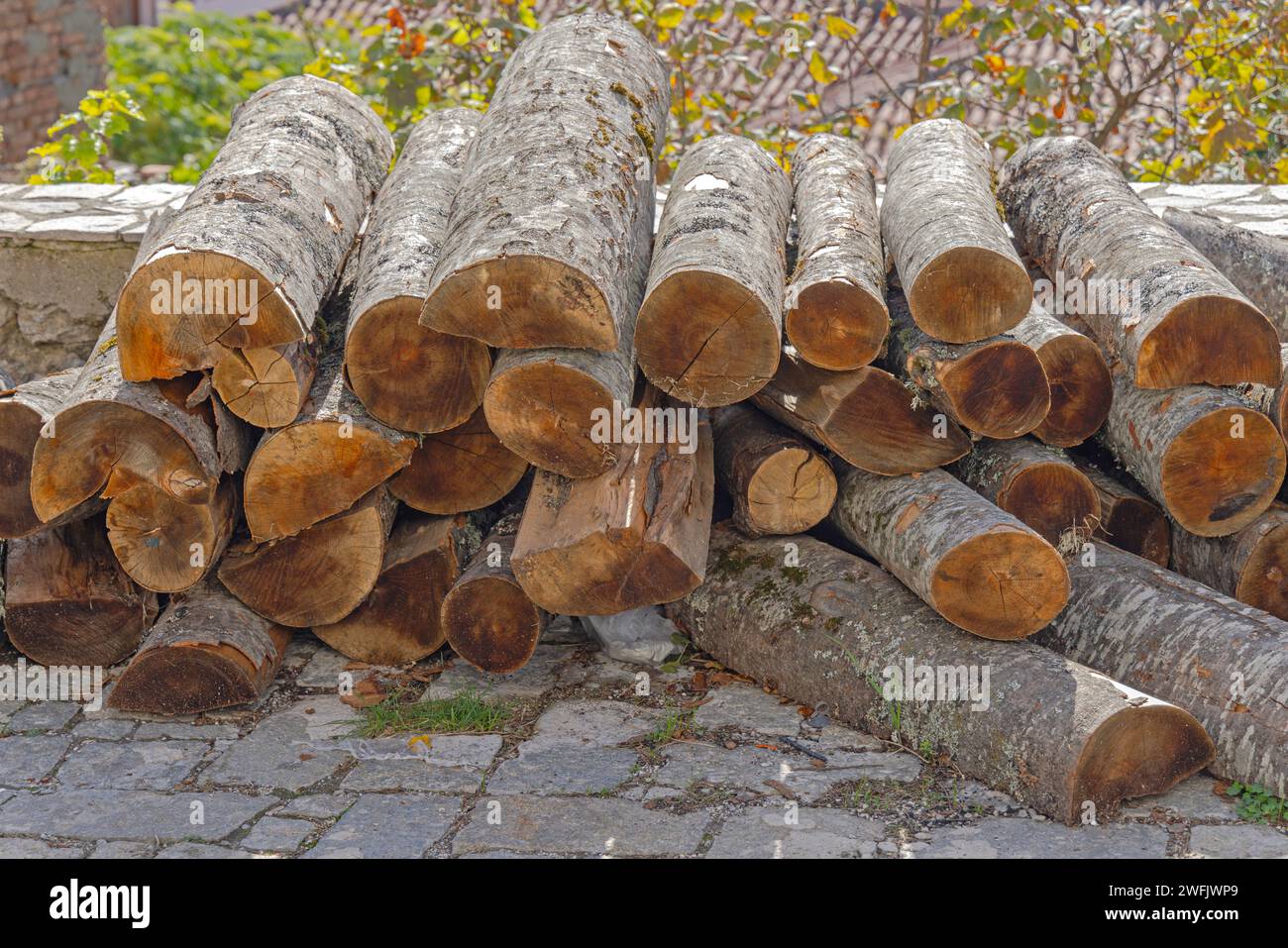 Stack of Log Fire Wood Ready for Winter Season Stock Photo - Alamy