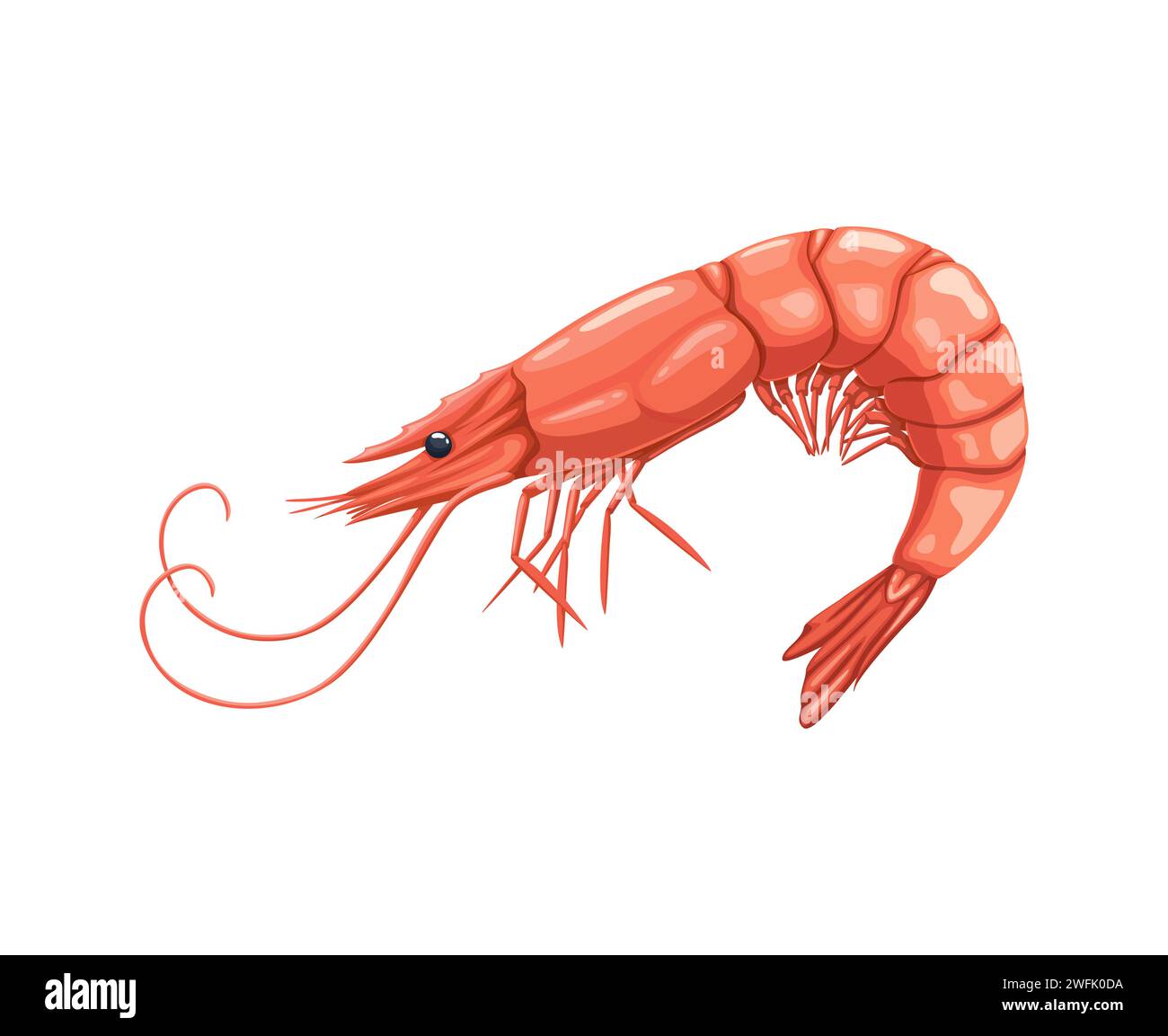 Cartoon seafood, shrimp or prawn for sea food cuisine or restaurant ...