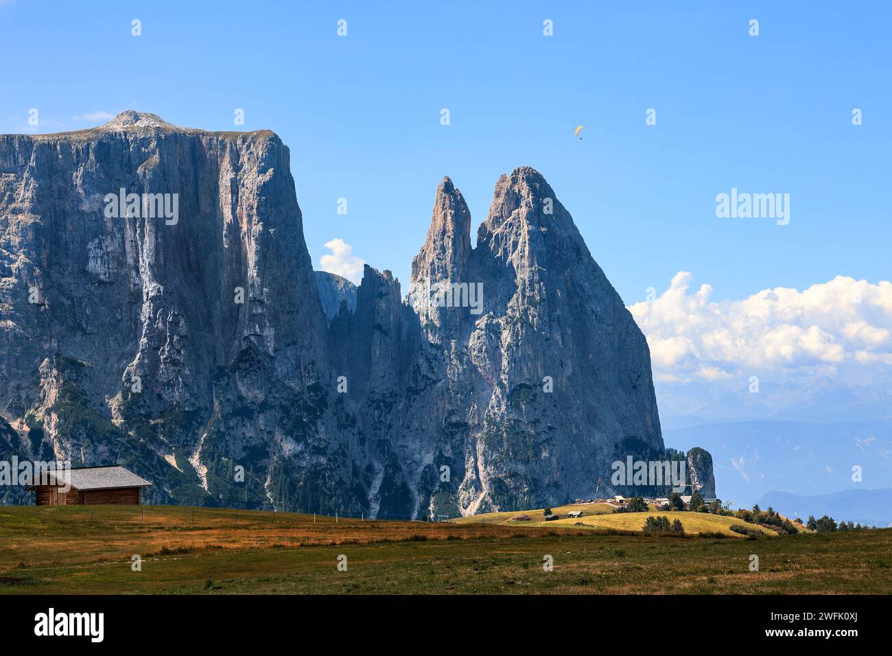 Scilair hi-res stock photography and images - Alamy