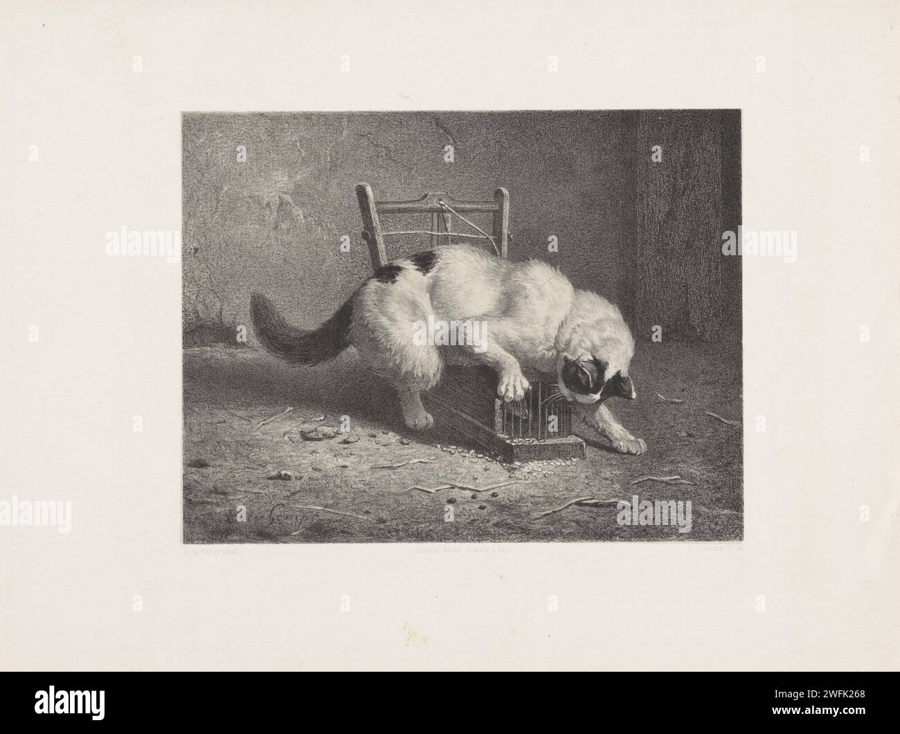 Cat Op Muizenval, Anthony Cornelis Cramer, After Bernard in Gempt, 1867 ...