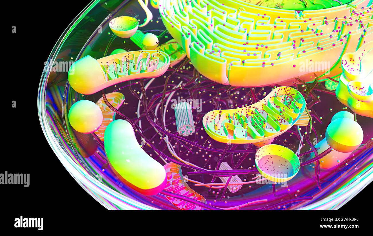 Abstract illustration of the biological cell Stock Photo - Alamy