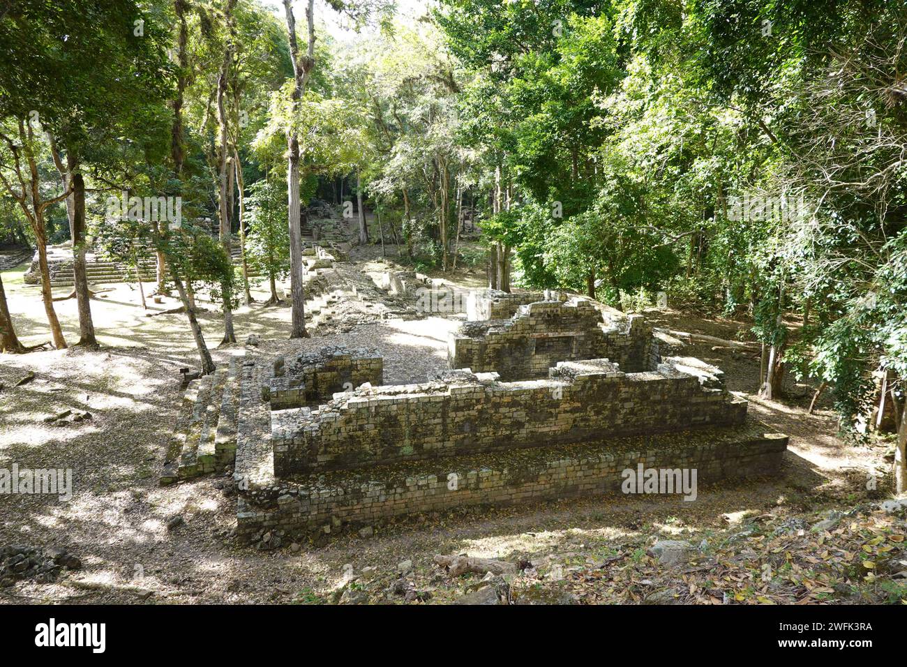 Ruins of an ancient Mayan City, Copan, Honduras, Central America Stock ...